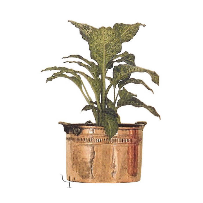 Turkish Copper Water Boiler (Small)