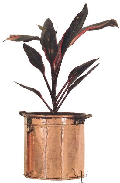 Turkish Copper Water Boiler (Large) - enjoyistanbul.com